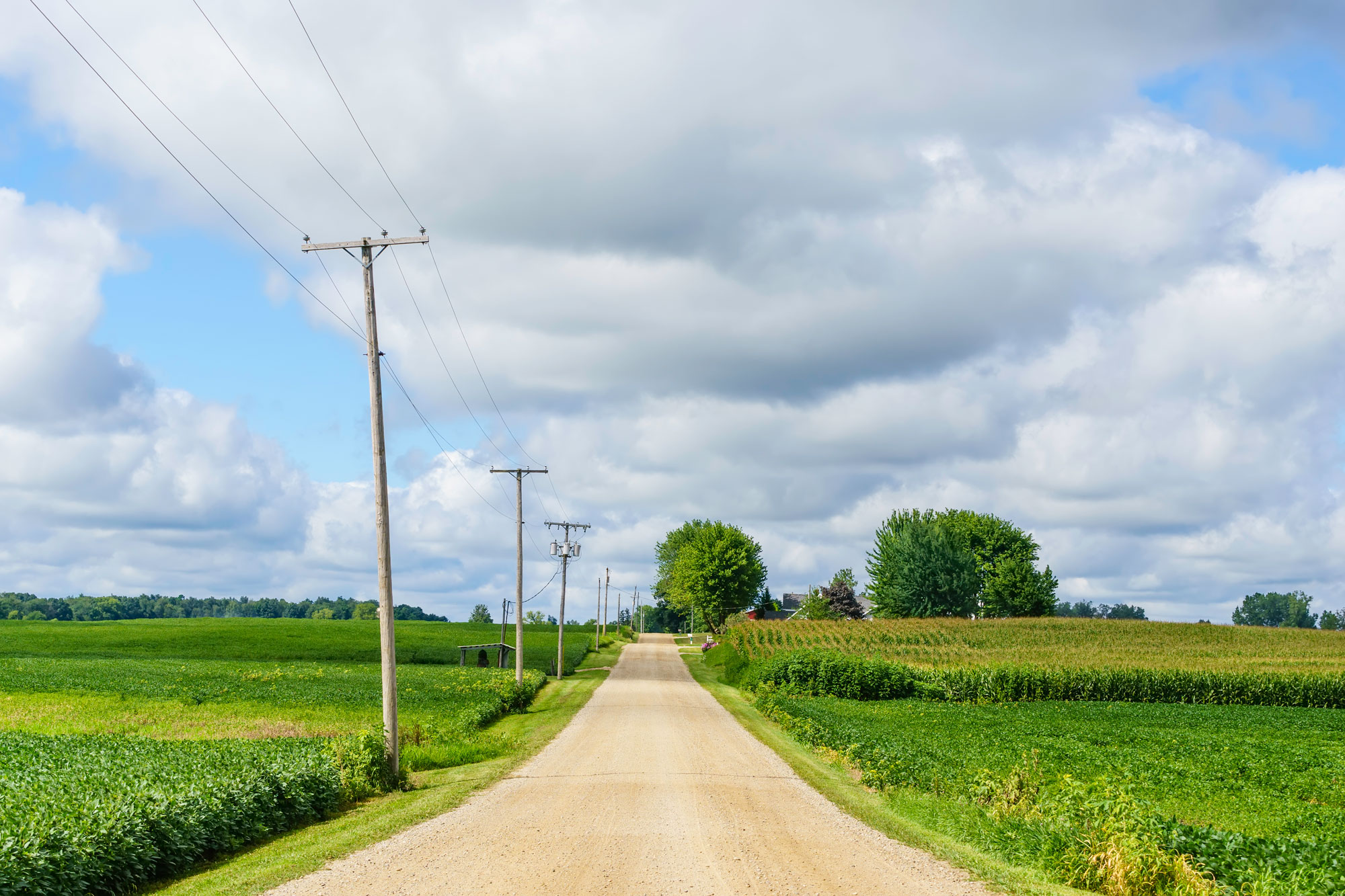 Utility Poles - Connect The Future