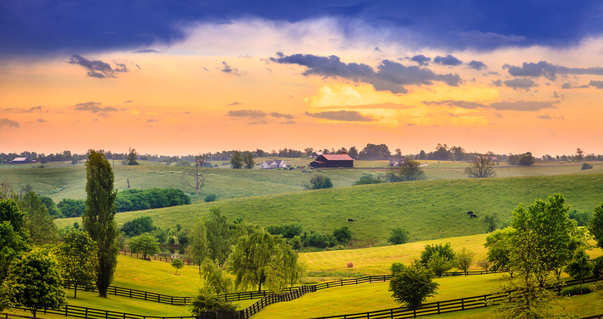 Connect The Future Kentucky Coalition Supporter Spotlight: Red Bird ...